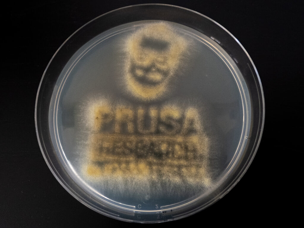 How to make food-grade 3D printed models - Original Prusa 3D Printers