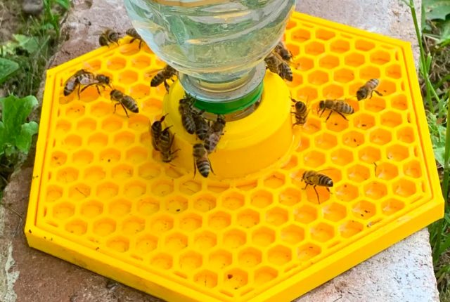 Upgrade your livestock: 3D printed accessories for chickens, bees, cows ...